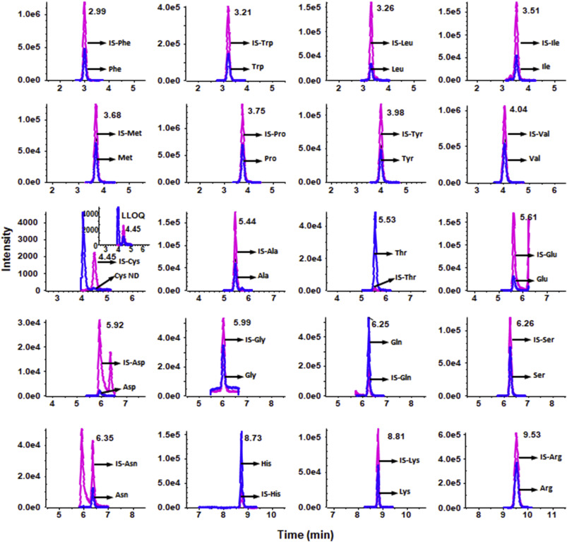Phân tích axit amin: Khám phá bí mật về thành phần protein và quá trình ...